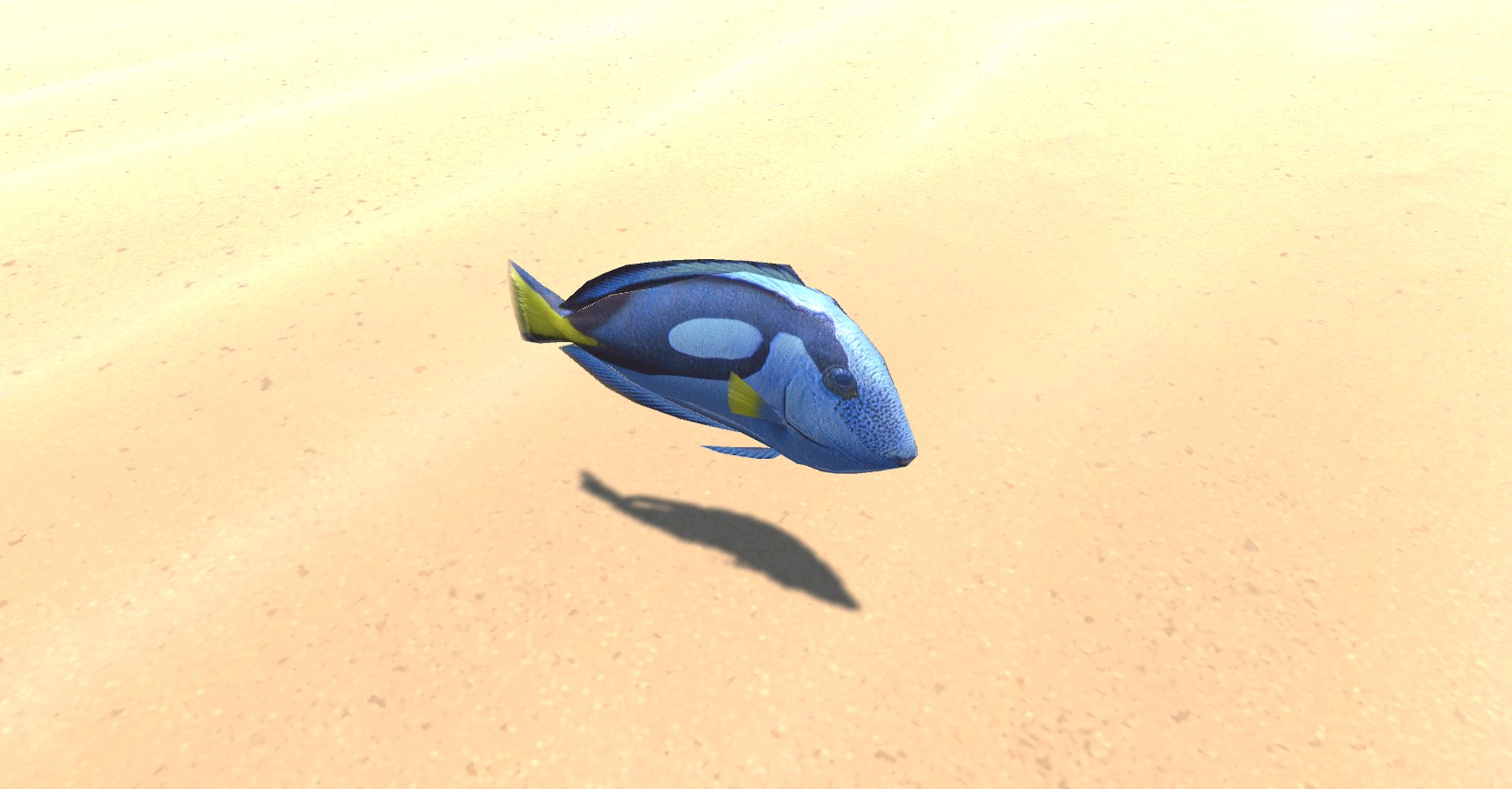3D Fish Animations Model - TurboSquid 1436073