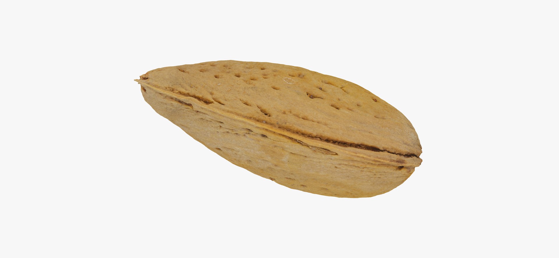 3D Model Almond Shell 01 Raw - TurboSquid 1530383