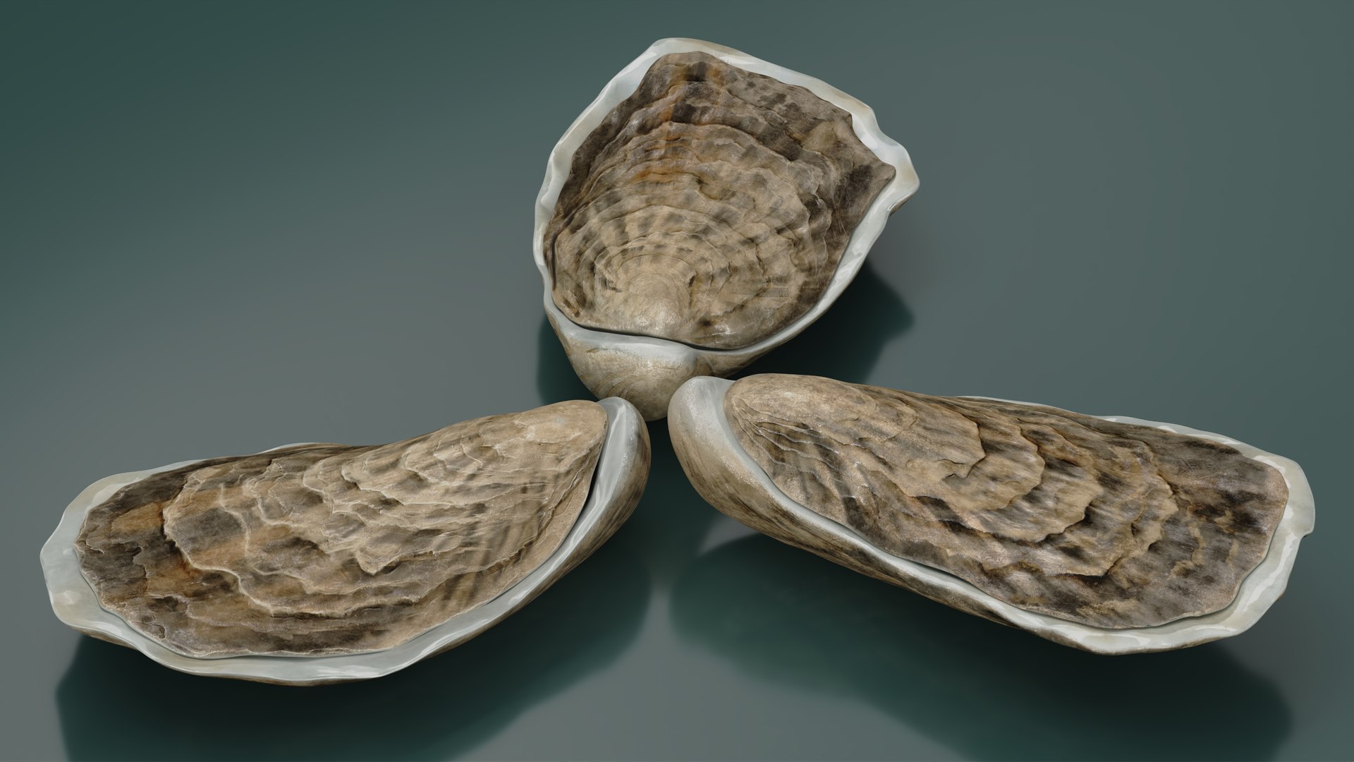3D Three Closed Oysters Model - TurboSquid 2270310