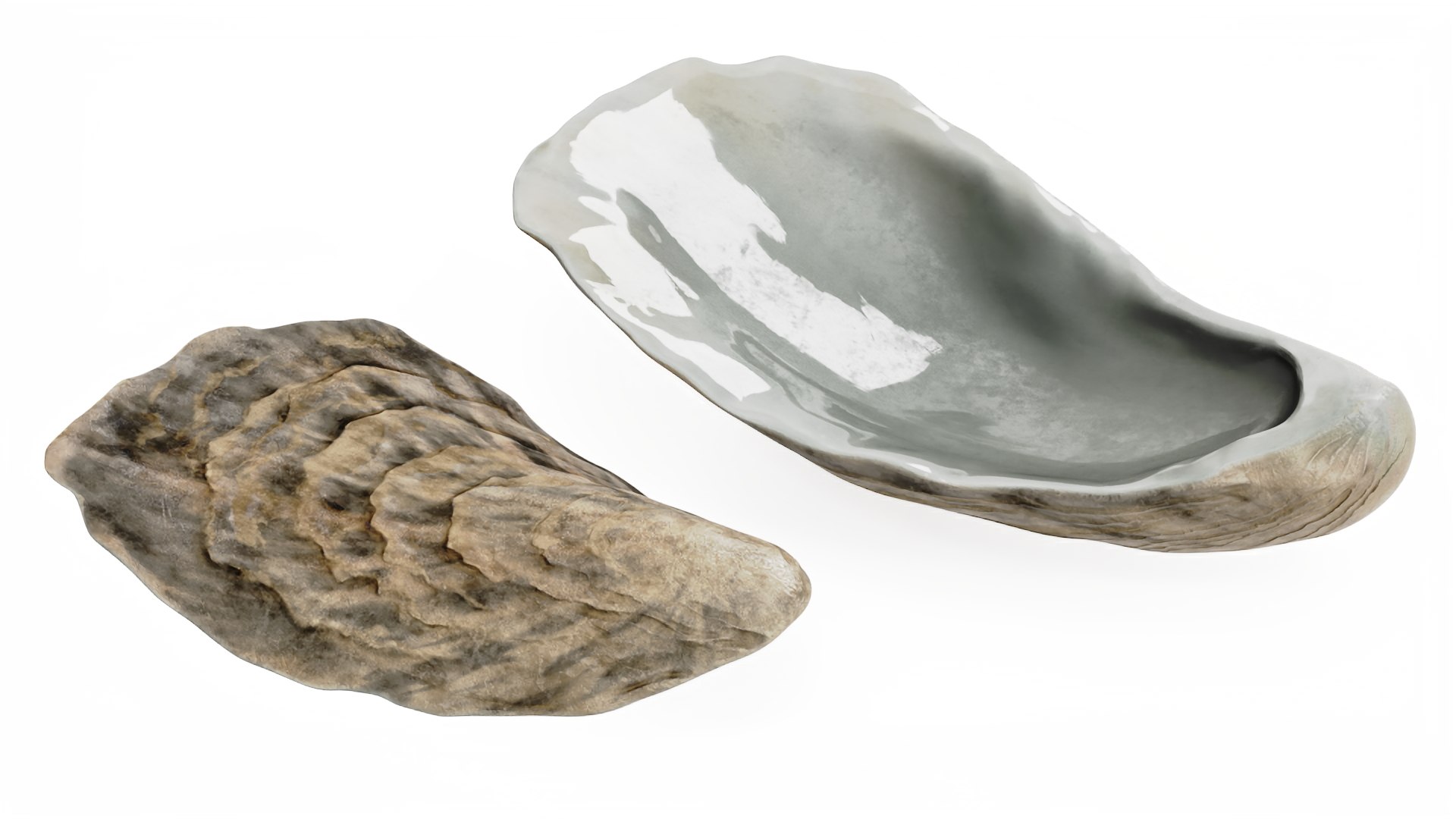 3D Three Closed Oysters Model - TurboSquid 2270310