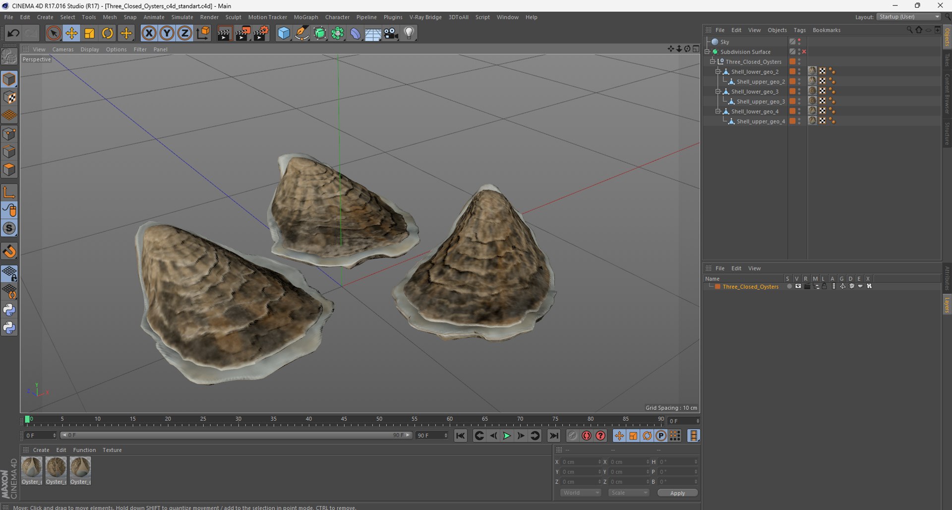3D Three Closed Oysters Model - TurboSquid 2270310