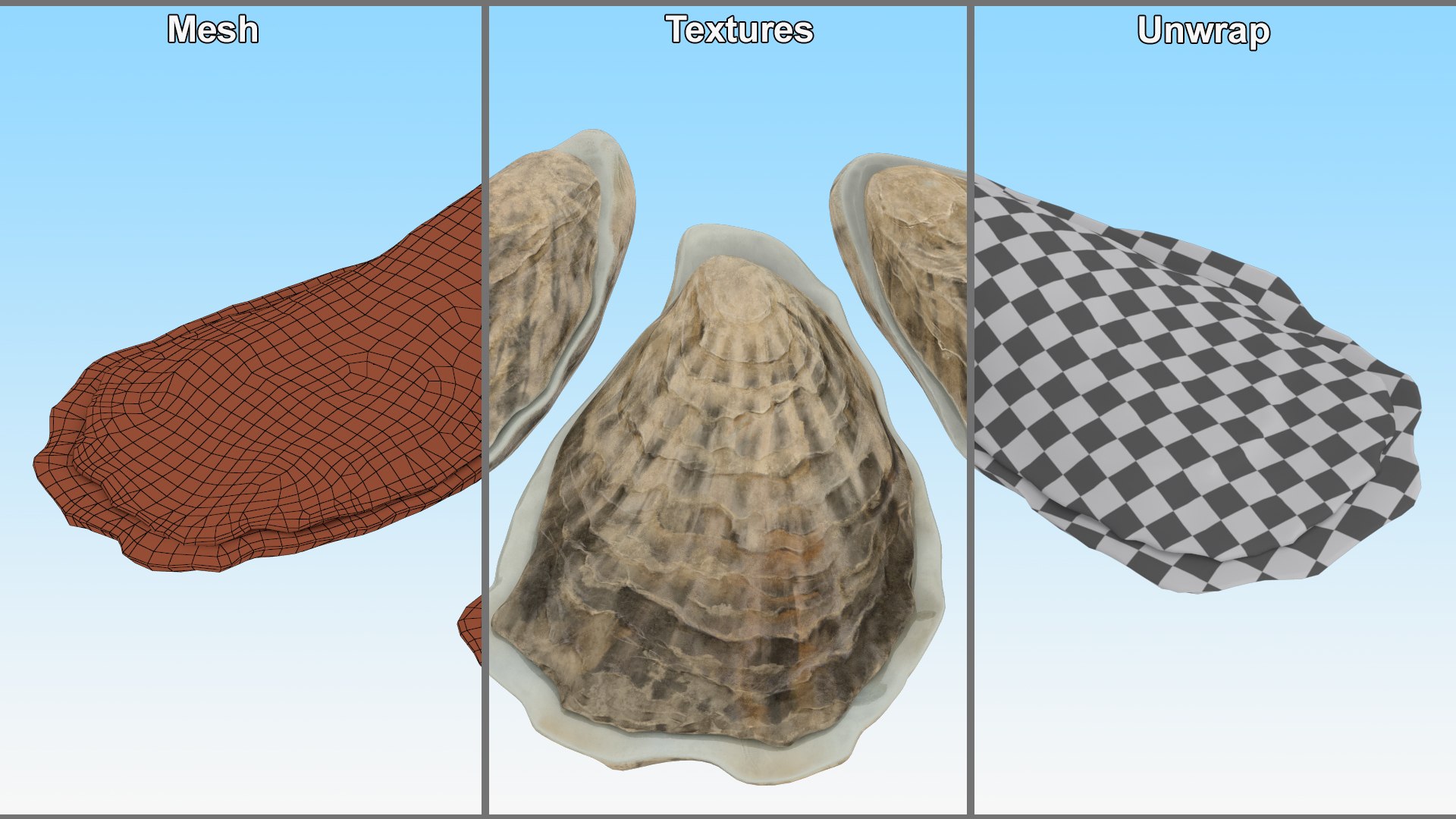 3D Three Closed Oysters Model - TurboSquid 2270310