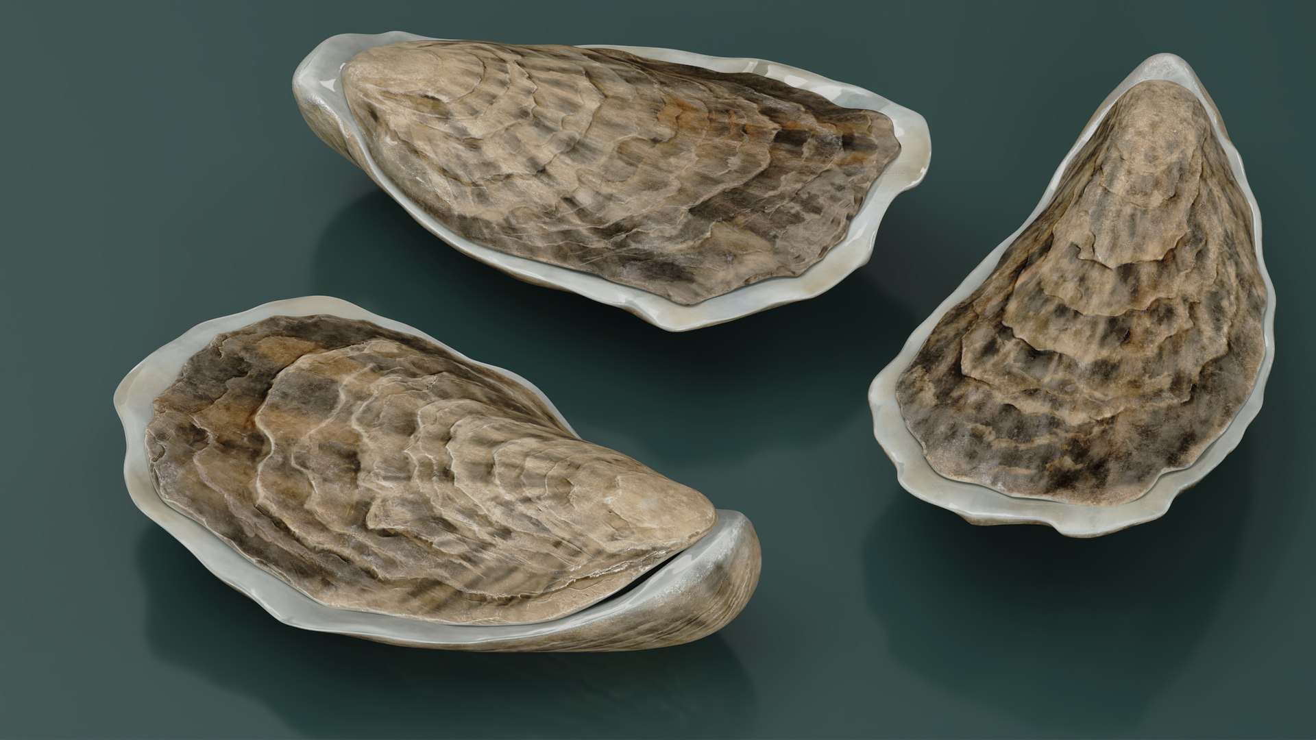 3D Three Closed Oysters Model - TurboSquid 2270310