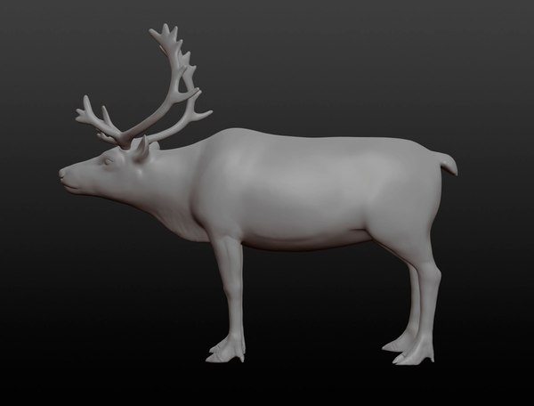 Reindeer base mesh 3D - TurboSquid 1720618