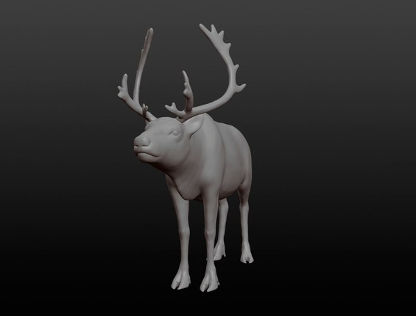 Reindeer base mesh 3D - TurboSquid 1720618