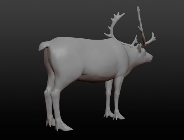Reindeer base mesh 3D - TurboSquid 1720618