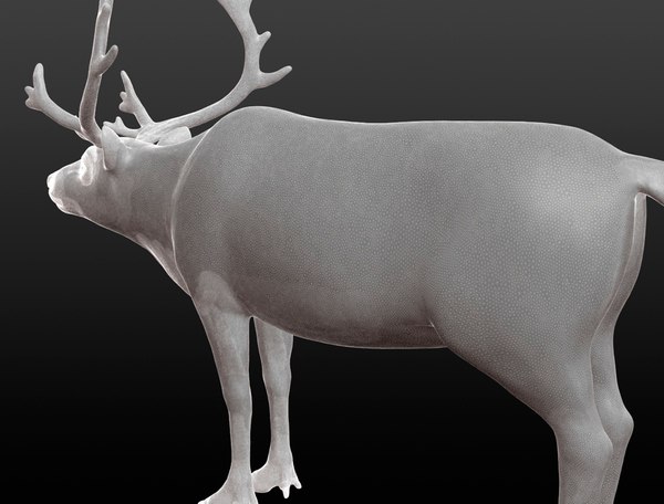 Reindeer base mesh 3D - TurboSquid 1720618