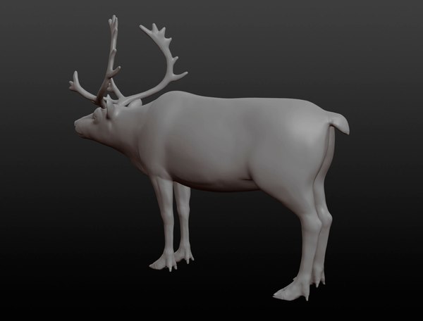 Reindeer base mesh 3D - TurboSquid 1720618