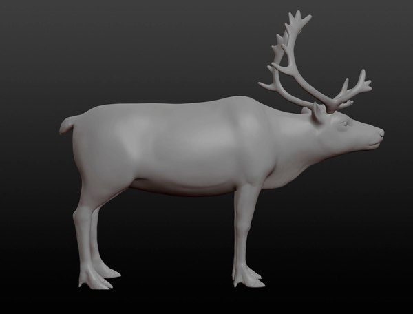 Reindeer base mesh 3D - TurboSquid 1720618