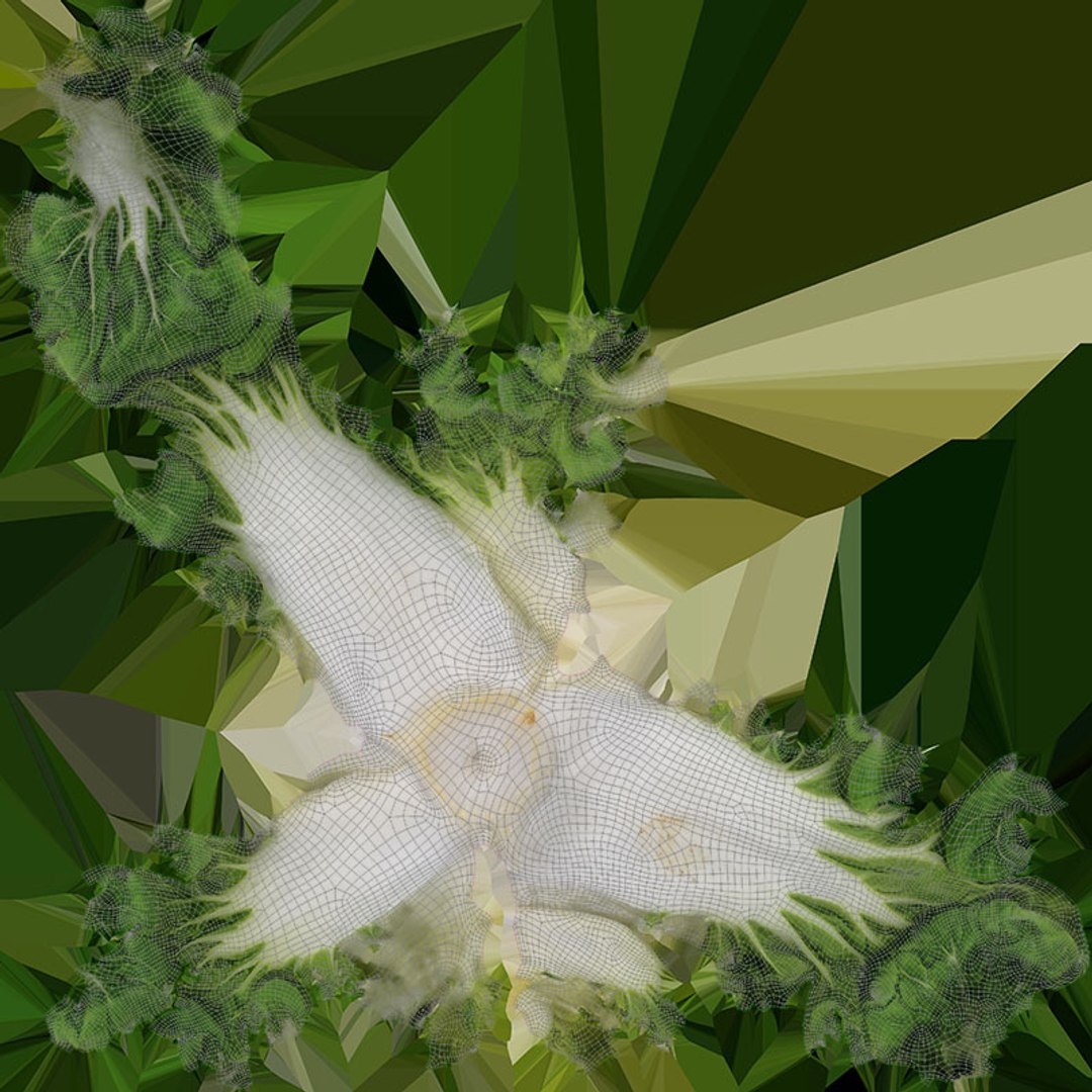 White Bok Choy Leaf 2 Collection 3D model - TurboSquid 2173089