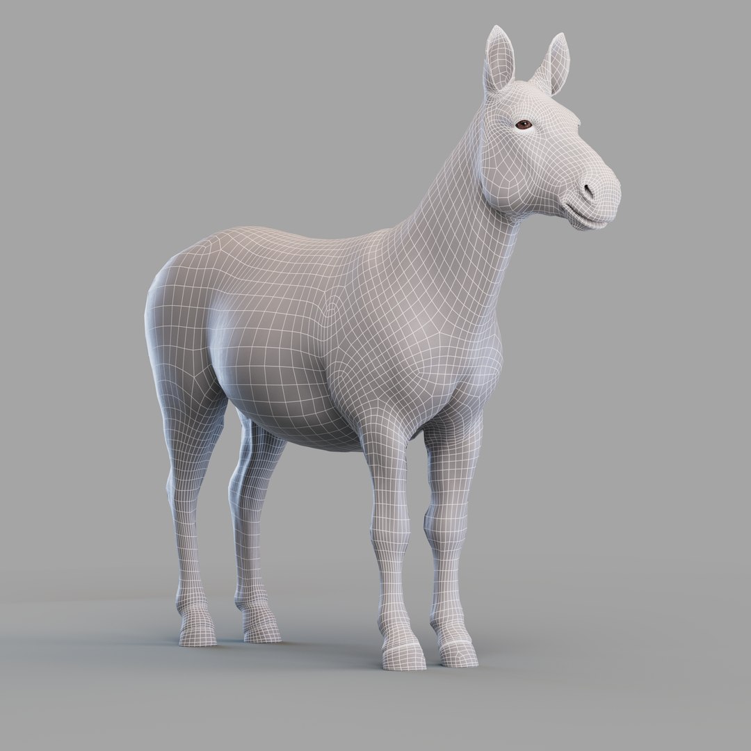 Zebra Skeleton And Muscles 3D Model - TurboSquid 2289816