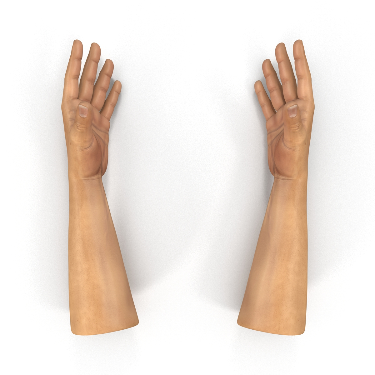 3d man hands 2 rigged