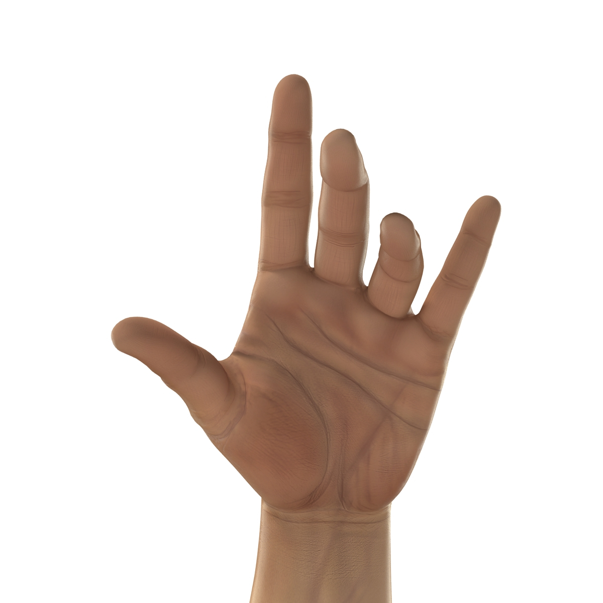 3d man hands 2 rigged