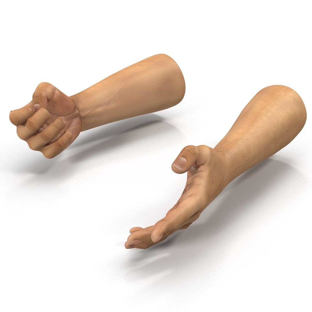 3d man hands 2 rigged
