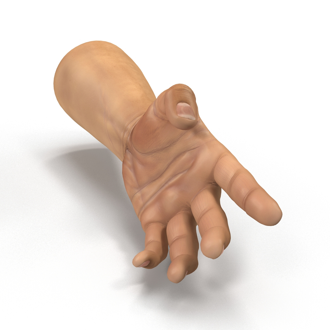 3d man hands 2 rigged