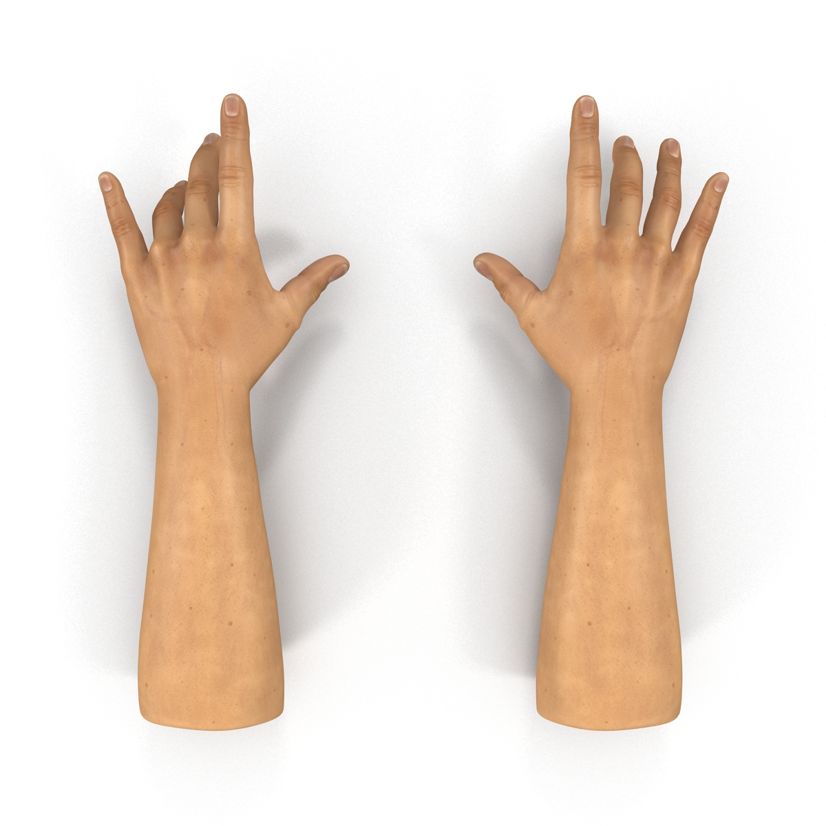 3d man hands 2 rigged