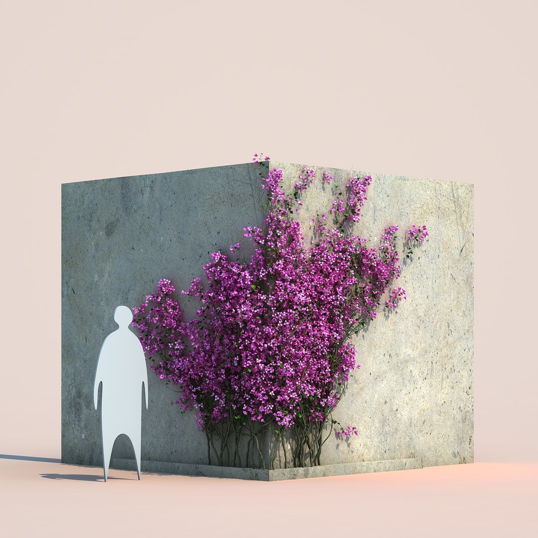 3d Plant Flower Model