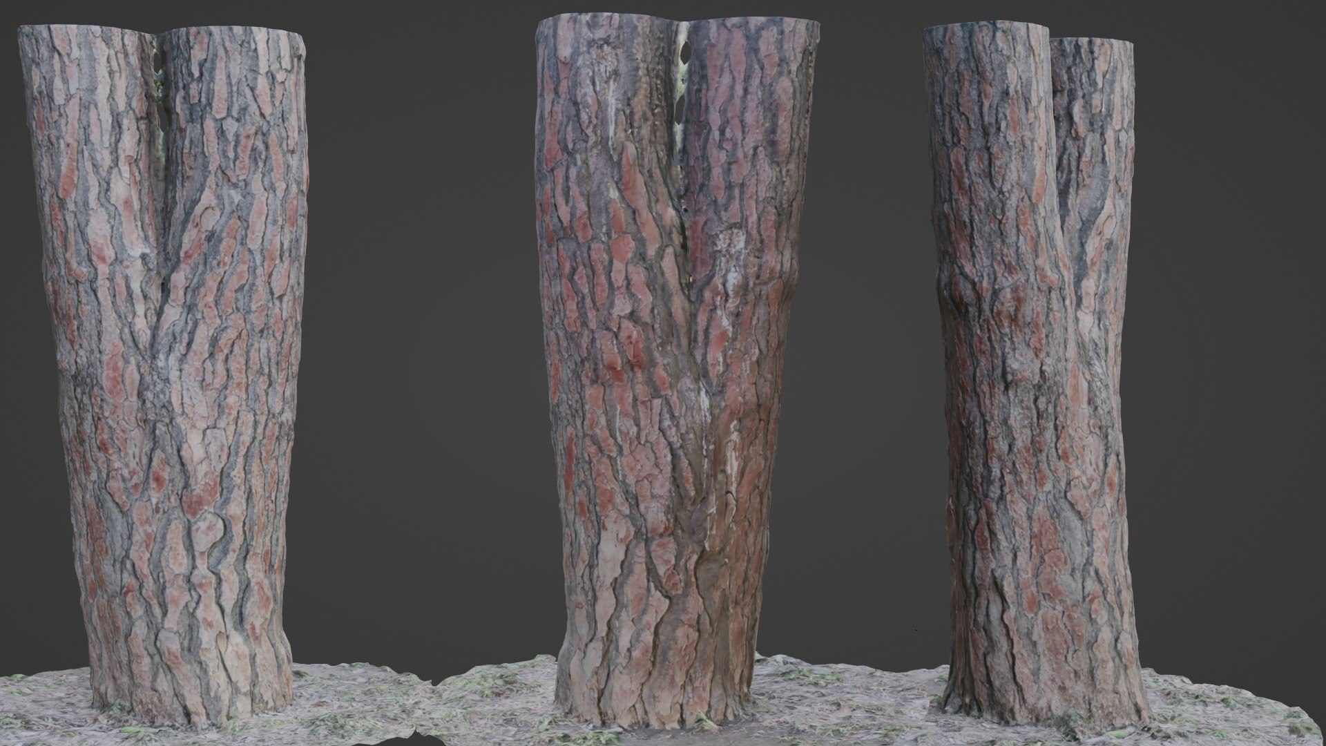 Pine Tree Trunk 3D Model - TurboSquid 2329901