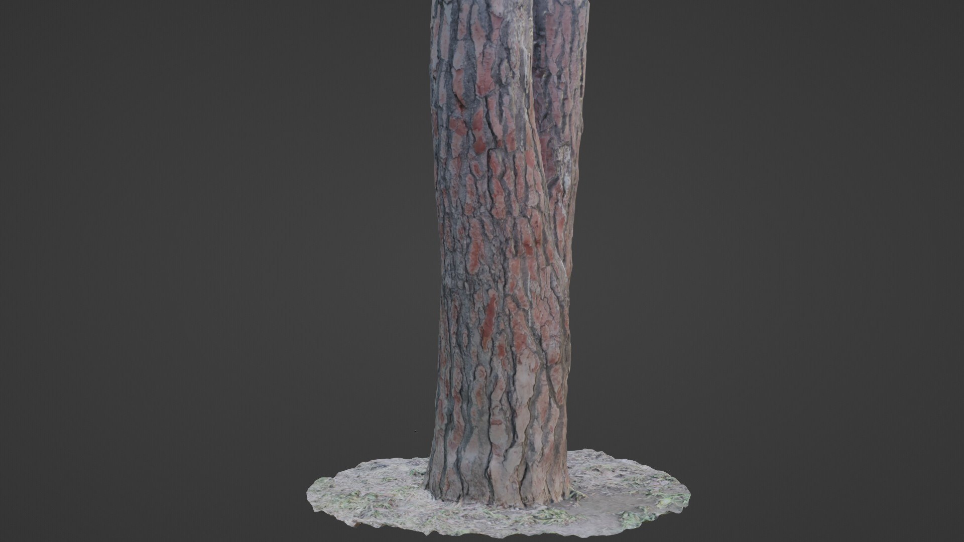 Pine Tree Trunk 3D Model - TurboSquid 2329901