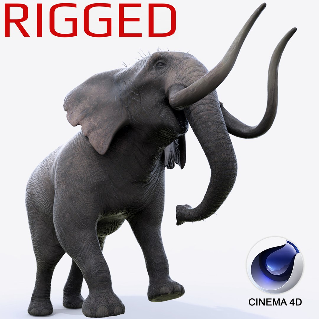 3D model Elephant Rigged for Cinema 4D Animated 3D Model - TurboSquid ...