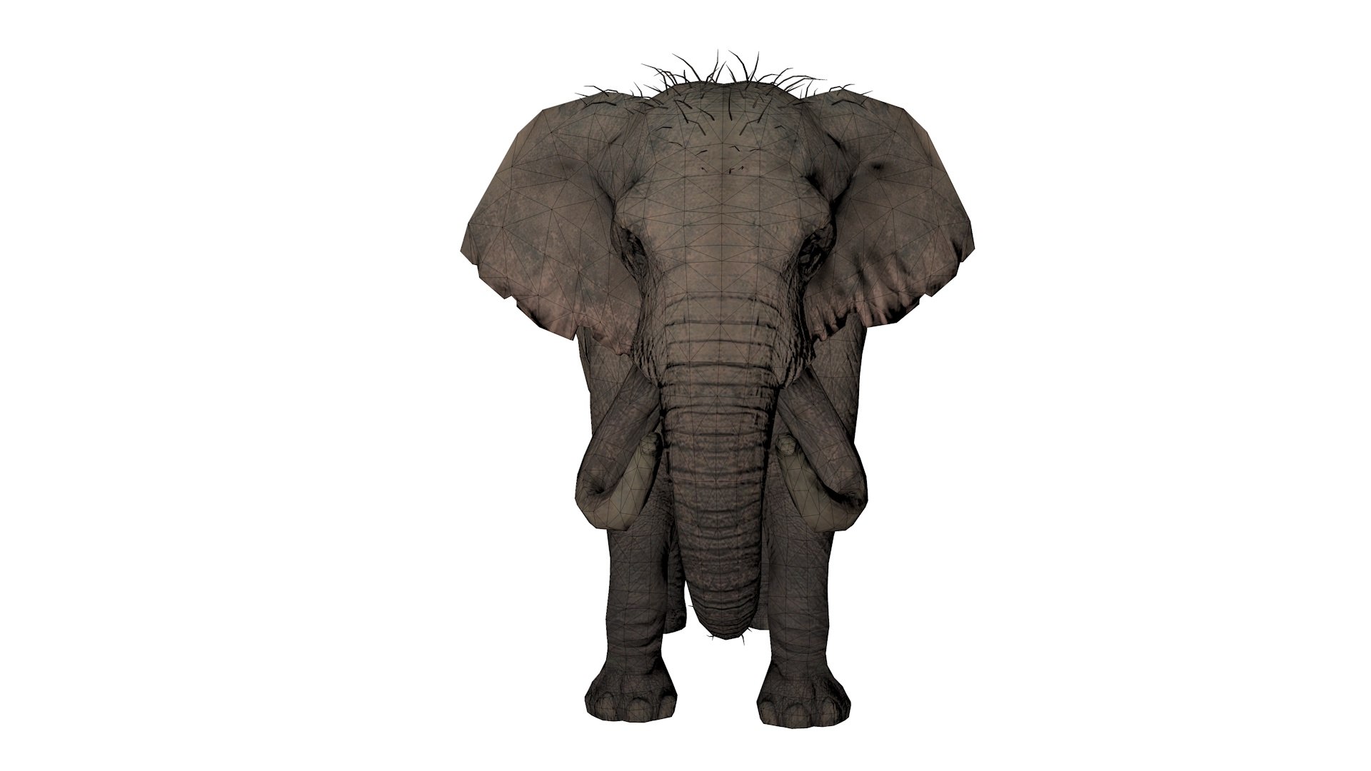 3D model Elephant Rigged for Cinema 4D Animated 3D Model - TurboSquid ...