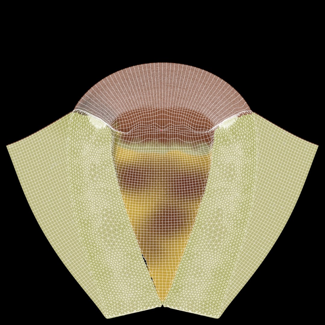 Flan Dessert 3D Model - TurboSquid 1638645