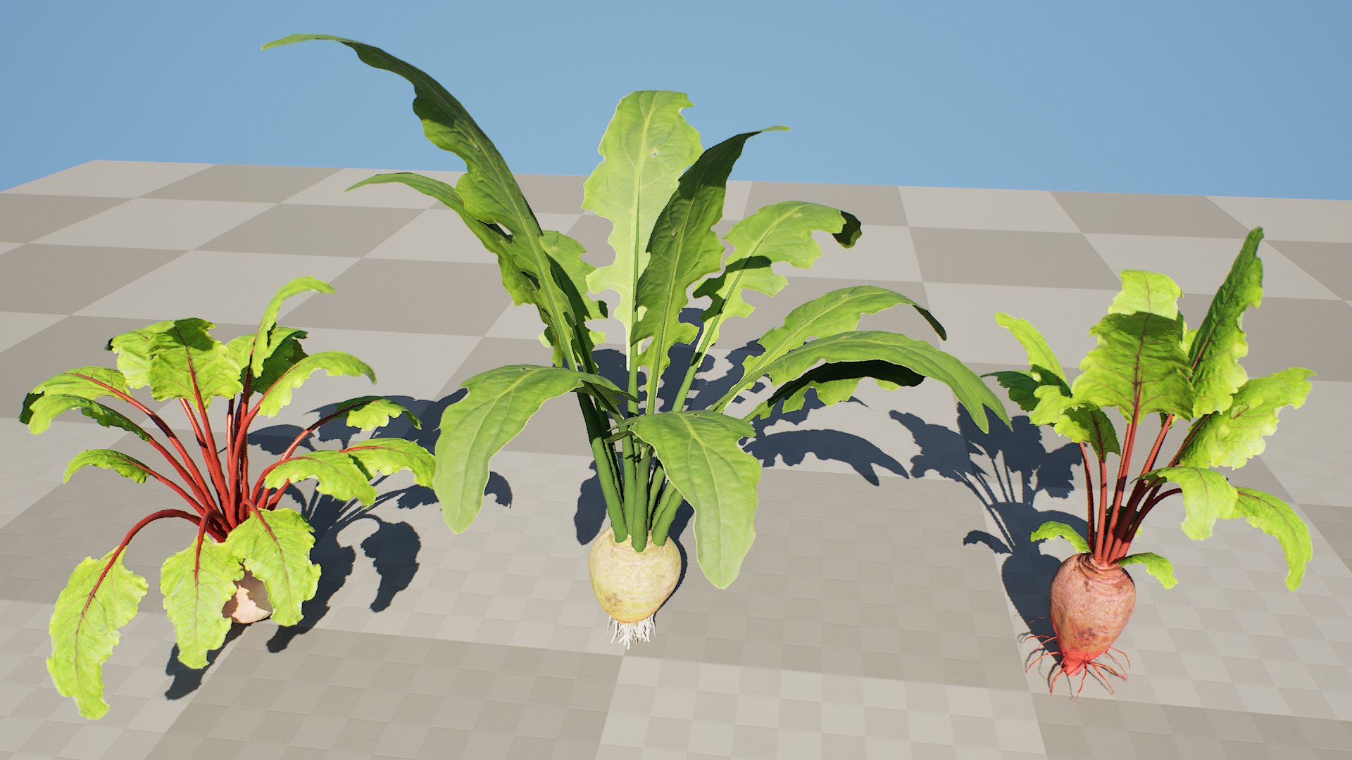 Realistic 3D Beet Plant Model Model - TurboSquid 2350761