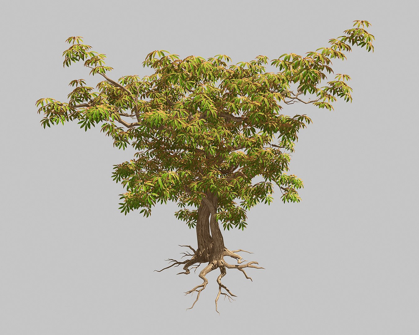 Sharp Leaves - Tree 3D Model - TurboSquid 1448822