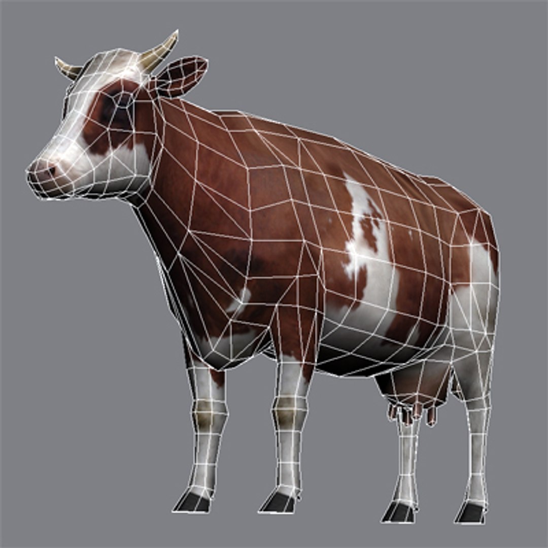 bull ox bovine max