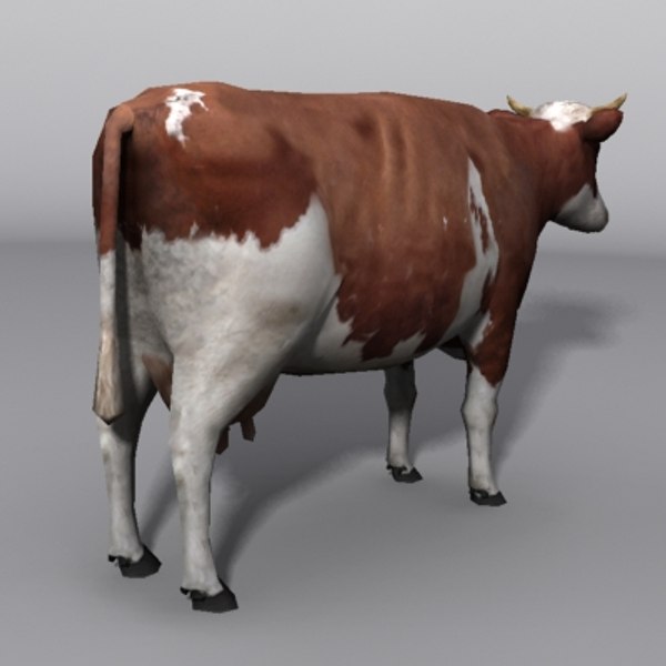 bull ox bovine max