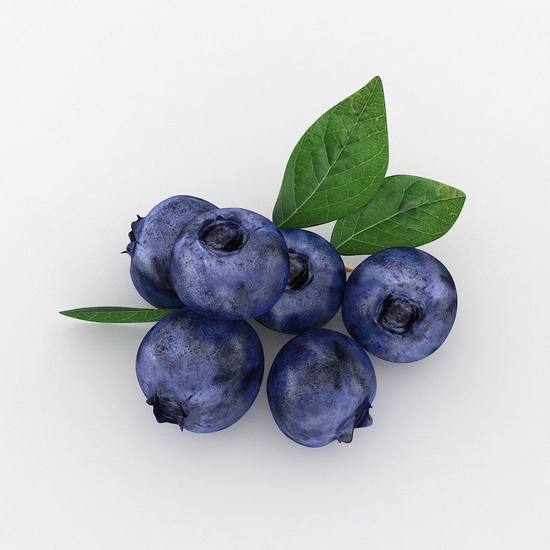 3D Blueberry - TurboSquid 1310426