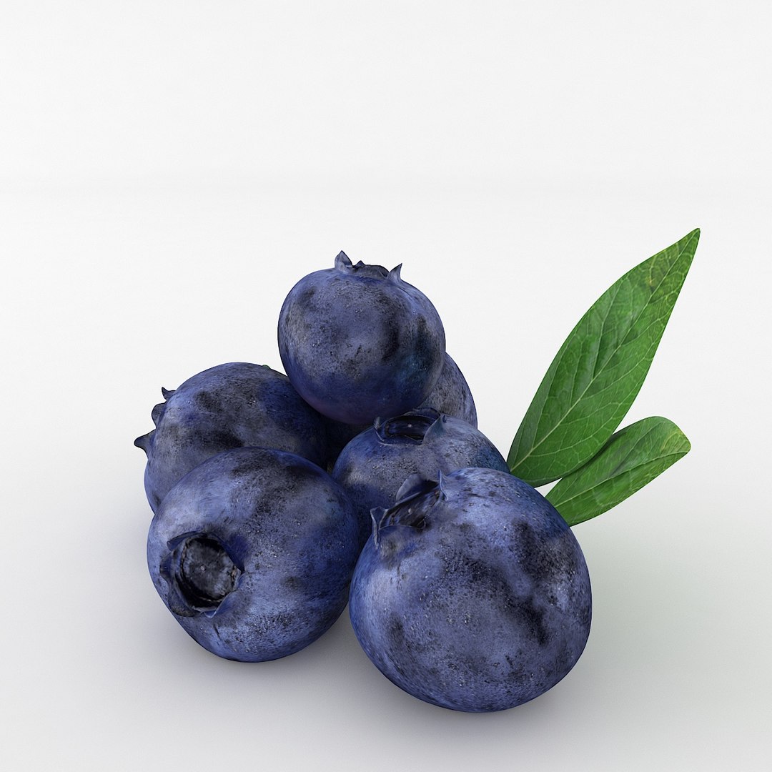 3D Blueberry - TurboSquid 1310426