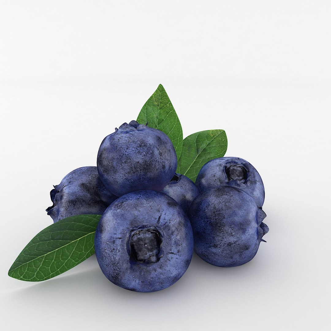 3D Blueberry - TurboSquid 1310426