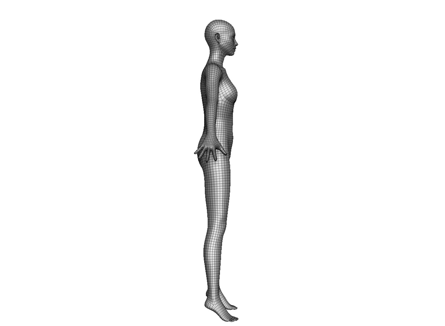 Obj Female Base