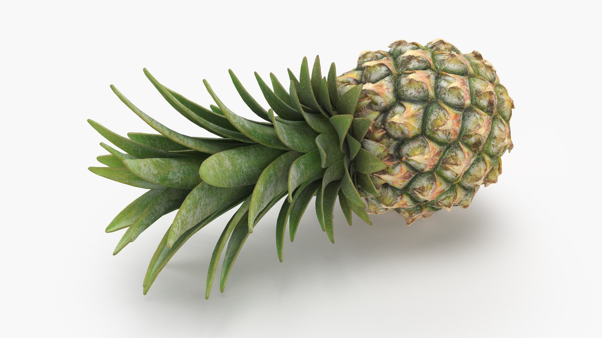 3D Whole Pineapple - TurboSquid 2087100