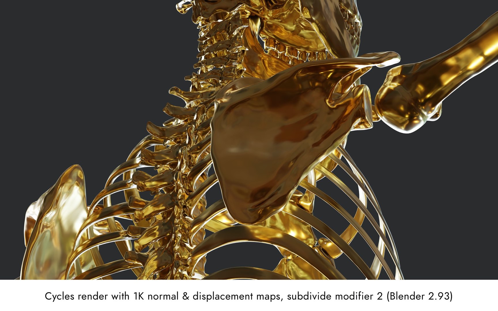3D Rigged human skeletons and individual bones - TurboSquid 1785934