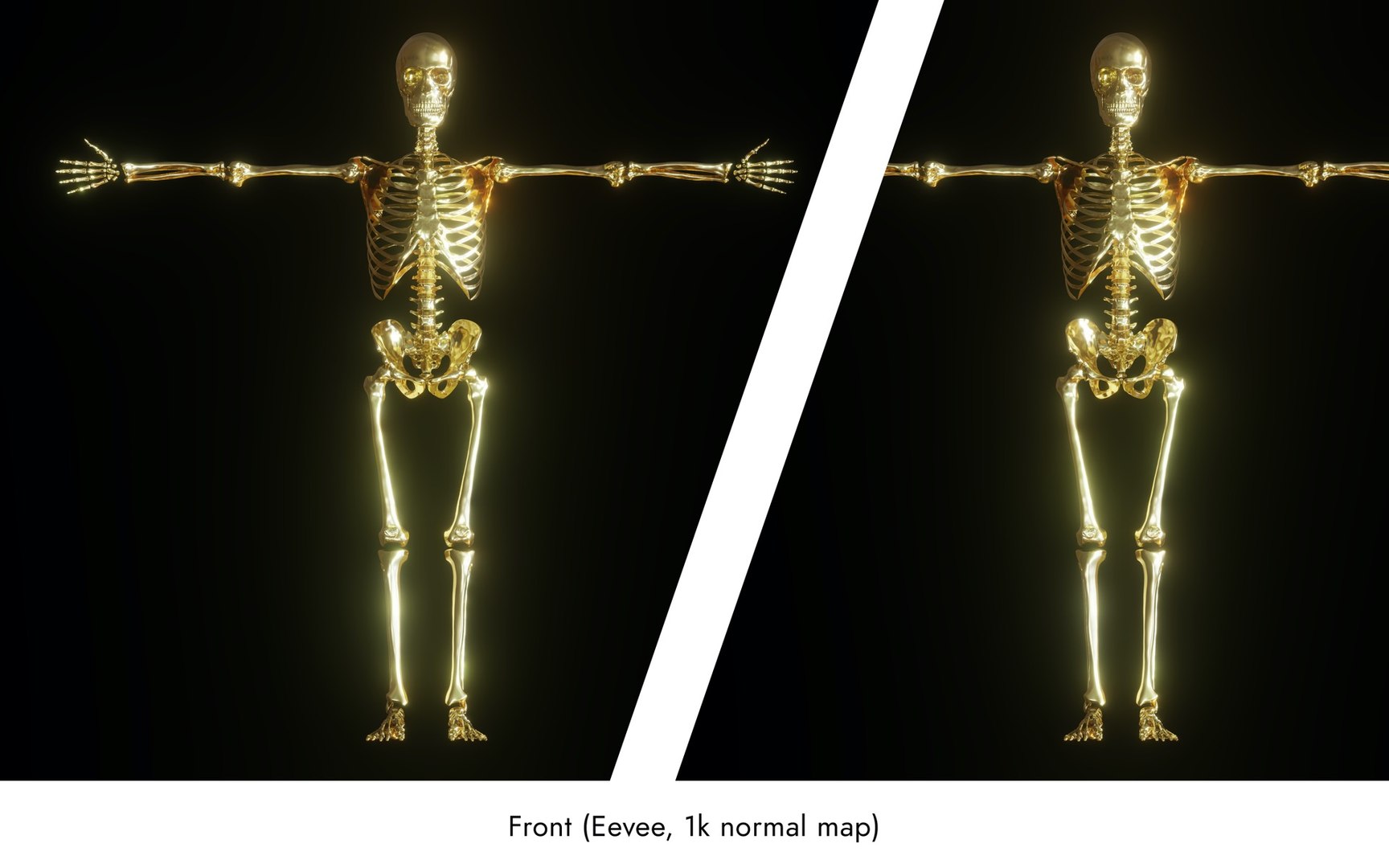 3D Rigged human skeletons and individual bones - TurboSquid 1785934