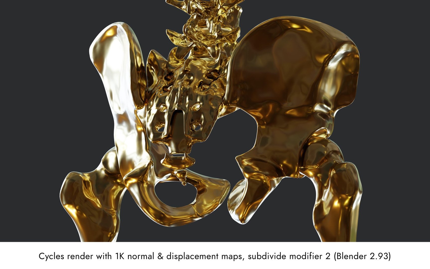 3D Rigged human skeletons and individual bones - TurboSquid 1785934