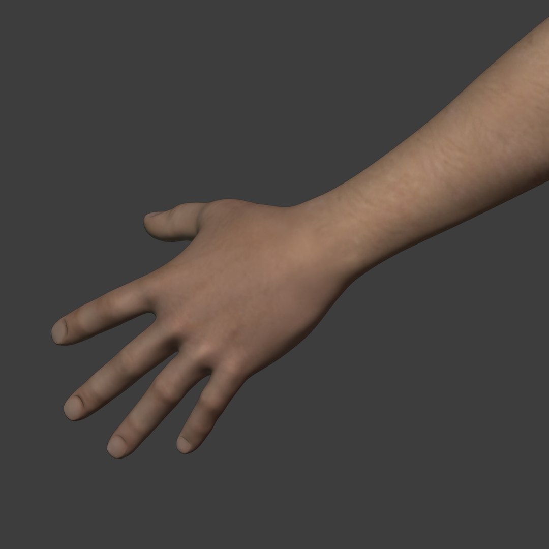 High Quality FK IK Rig 3D Model - TurboSquid 2240052