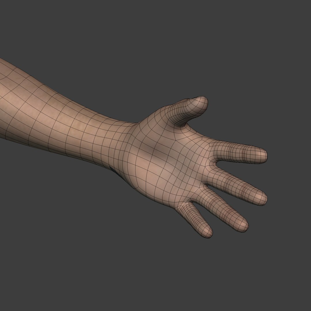 High Quality FK IK Rig 3D Model - TurboSquid 2240052