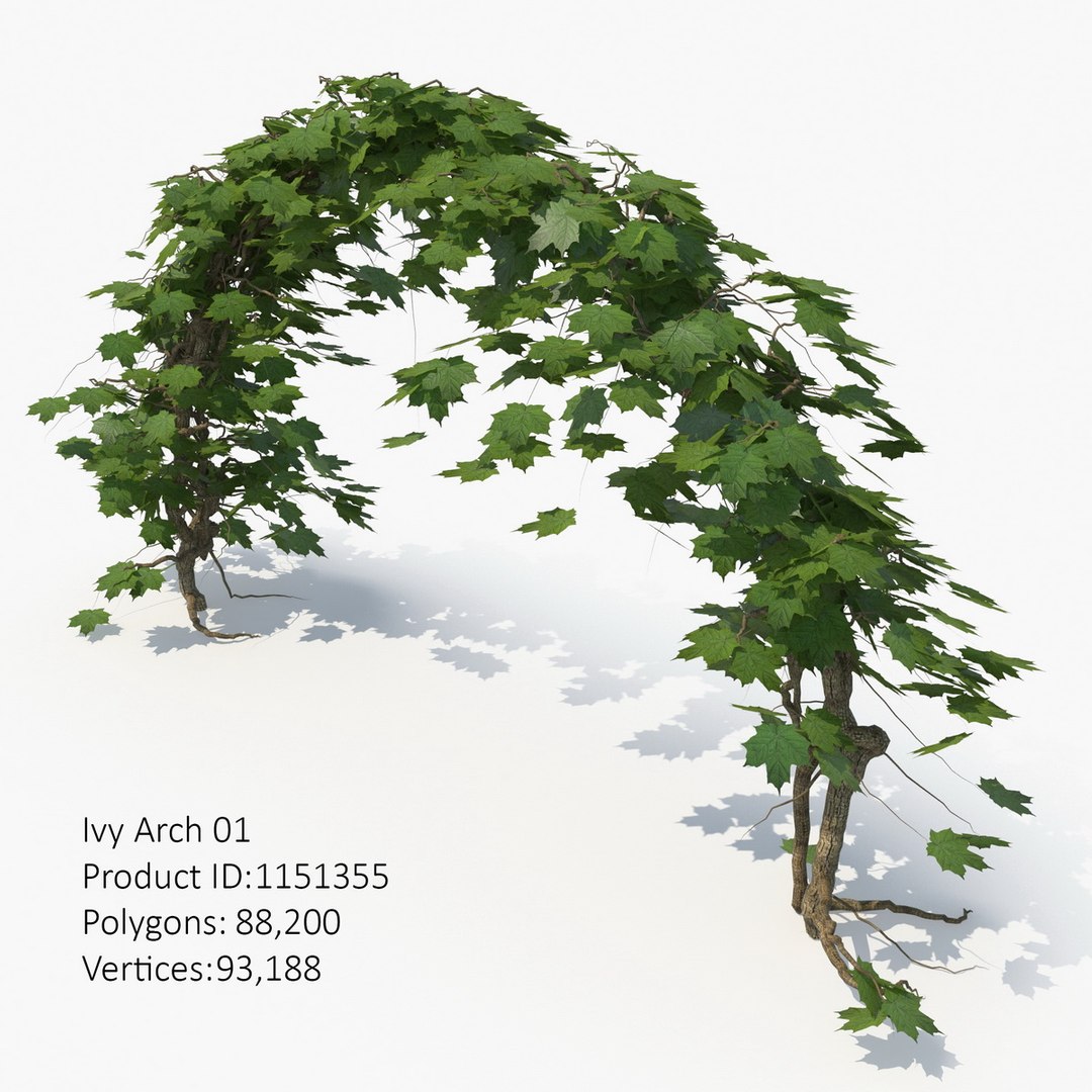 Ivy Column 3D - TurboSquid 1233599