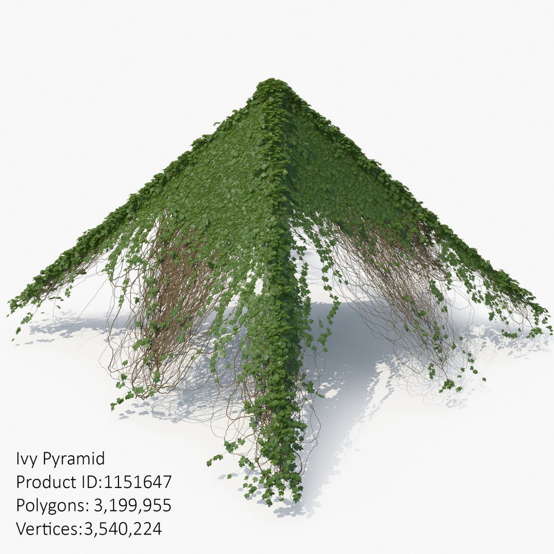 Ivy Column 3D - TurboSquid 1233599