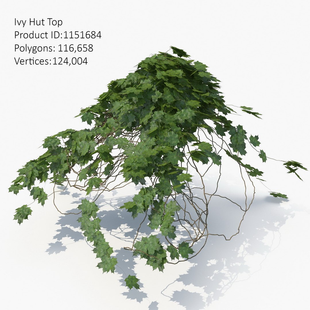 Ivy Column 3D - TurboSquid 1233599