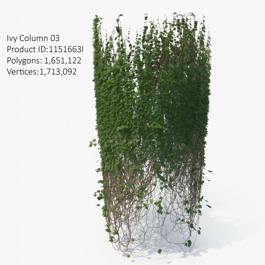 Ivy Column 3D - TurboSquid 1233599