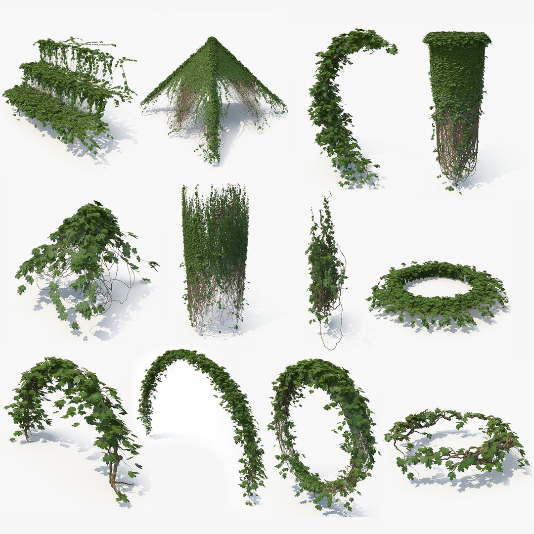 Ivy Column 3D - TurboSquid 1233599