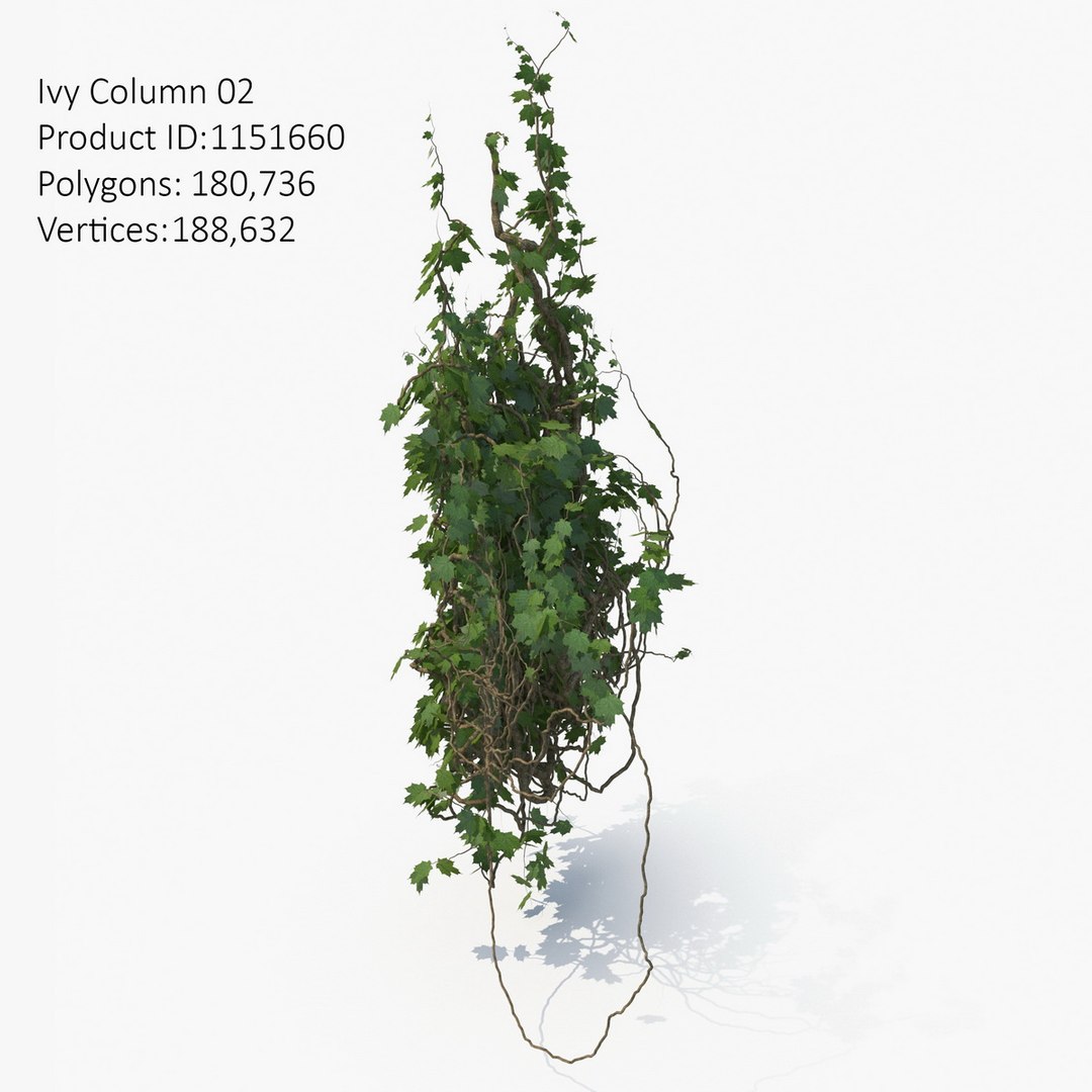 Ivy Column 3D - TurboSquid 1233599