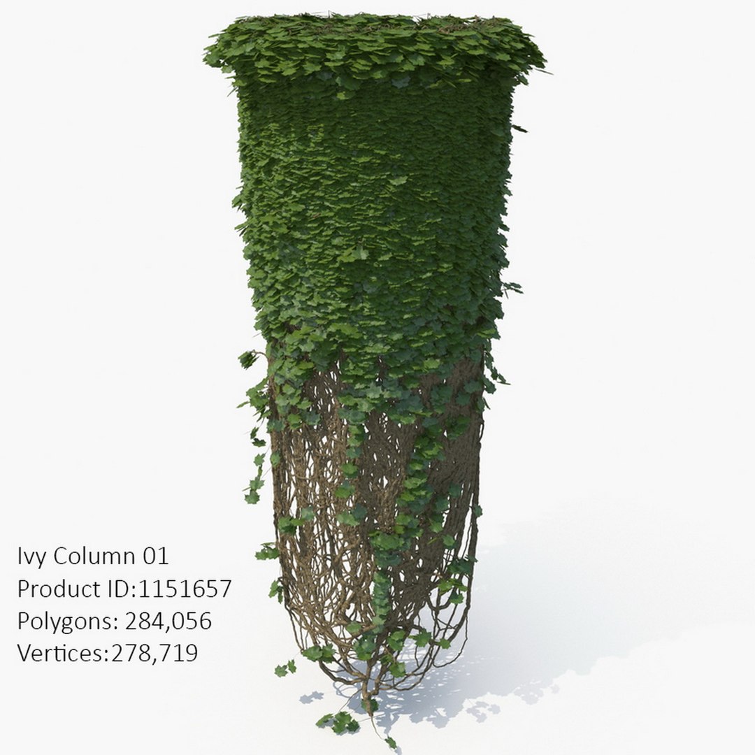 Ivy Column 3D - TurboSquid 1233599
