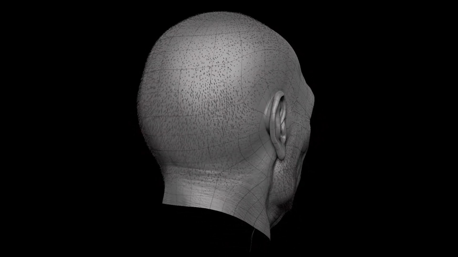3D Old Man Head Sculpt Model - TurboSquid 1947752