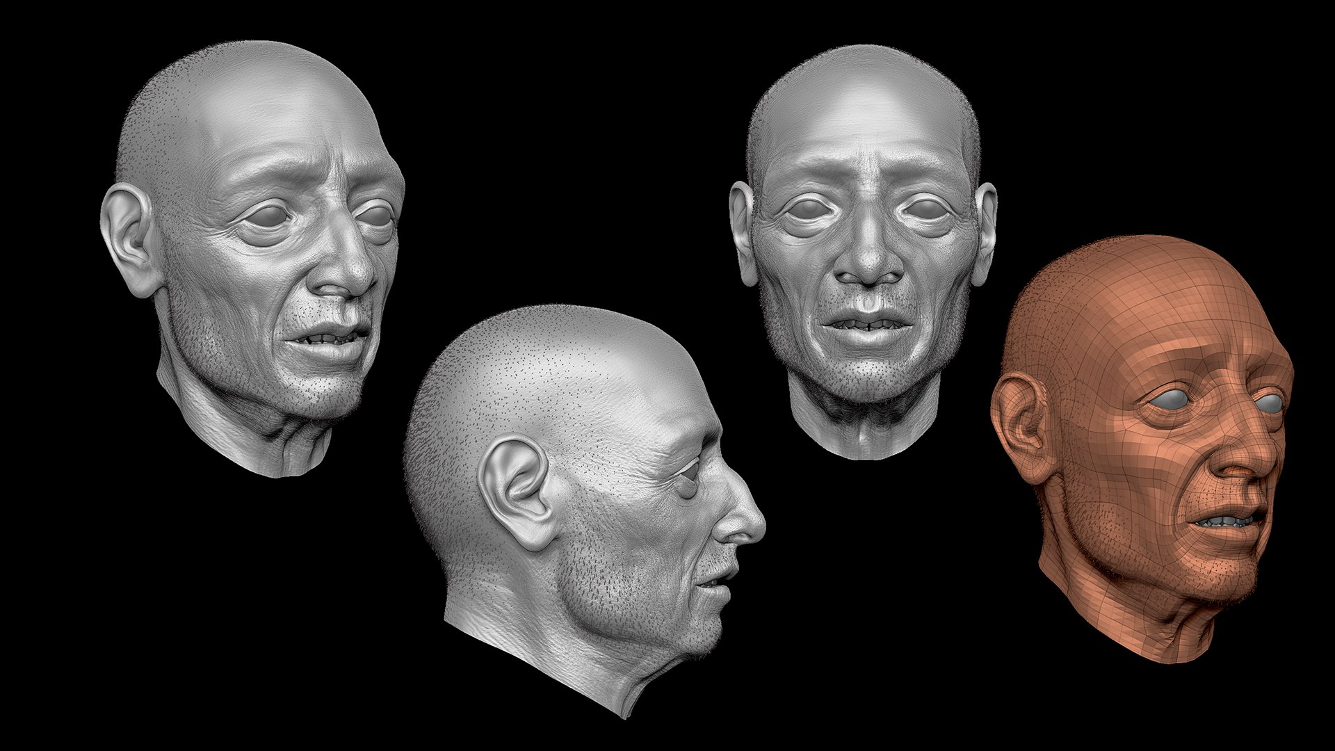 3D Old Man Head Sculpt Model - TurboSquid 1947752