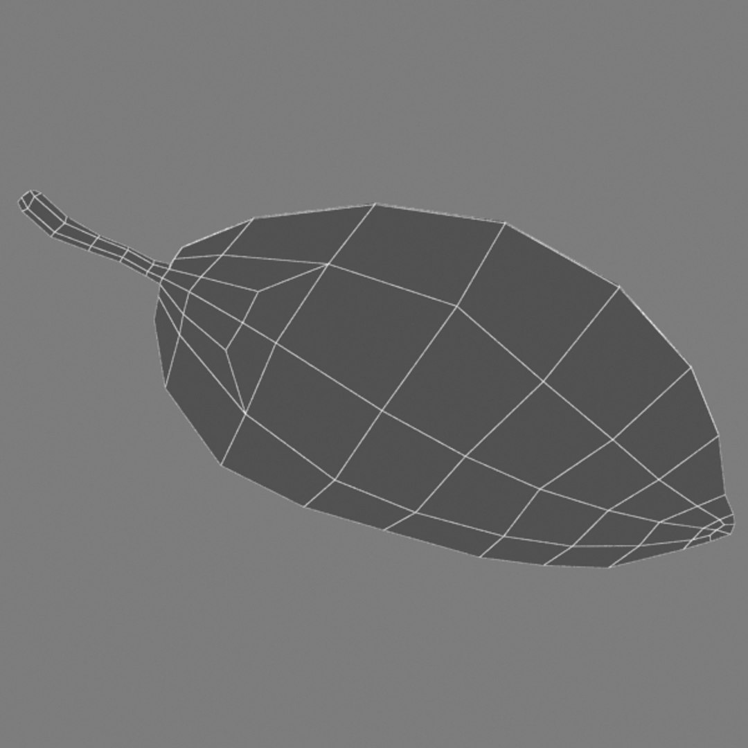 3d Model Leaf